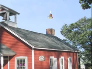 Save the Bullfrog! | Wonder Pets! Wiki | Fandom