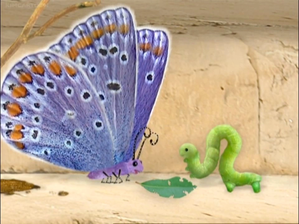 Butterfly | Wonder Pets! Wiki | Fandom