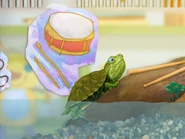 Save the Skunk Rocker! | Wonder Pets! Wiki | Fandom
