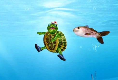 Save the Turtle! | Wonder Pets! Wiki | Fandom