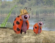 Ladybug | Wonder Pets! Wiki | Fandom