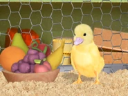 Save the Ants! | Wonder Pets! Wiki | Fandom