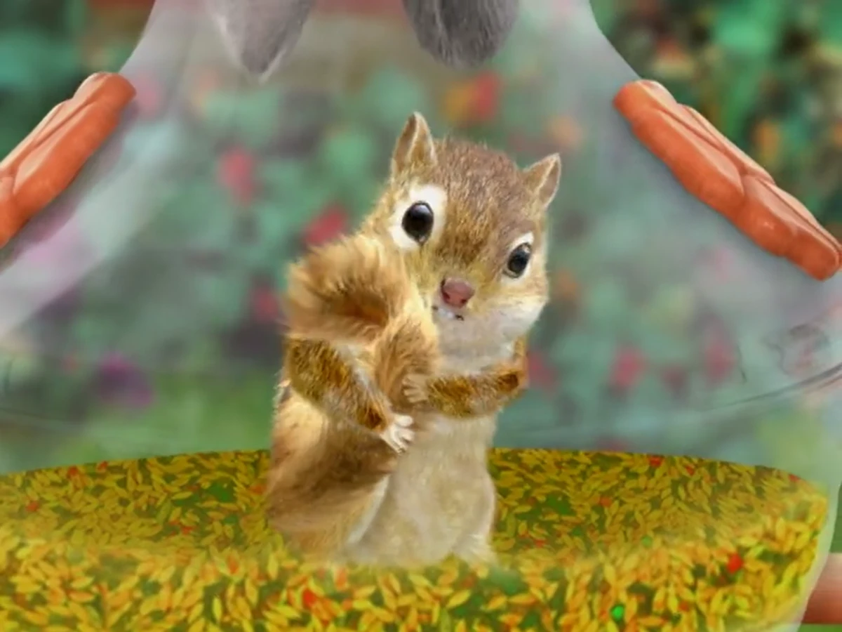 Chipmunk | Wonder Pets! Wiki | Fandom