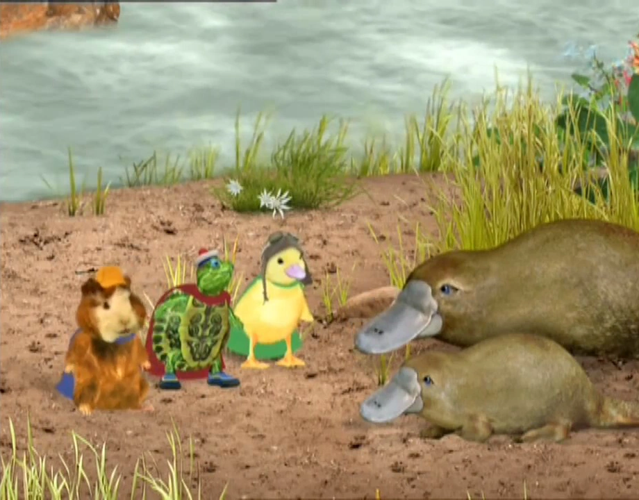 Save the Platypus! | Wonder Pets! Wiki | Fandom