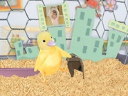 Save the Dancing Duck! | Wonder Pets! Wiki | Fandom