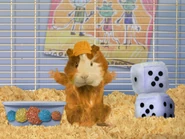 Save the Rat Pack! | Wonder Pets! Wiki | Fandom