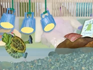 Save the Dancing Duck! | Wonder Pets! Wiki | Fandom