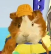 Save the Turtle | Wonder Pets! Wiki | Fandom