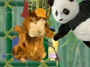 Save the Panda! | Wonder Pets! Wiki | Fandom