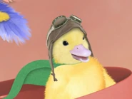 Save the Rat Pack! | Wonder Pets! Wiki | Fandom