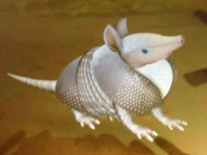 Save the Armadillo! | Wonder Pets! Wiki | Fandom