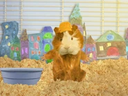 Save the Skunk Rocker! | Wonder Pets! Wiki | Fandom