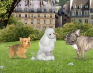 Save the Poodle! | Wonder Pets! Wiki | Fandom