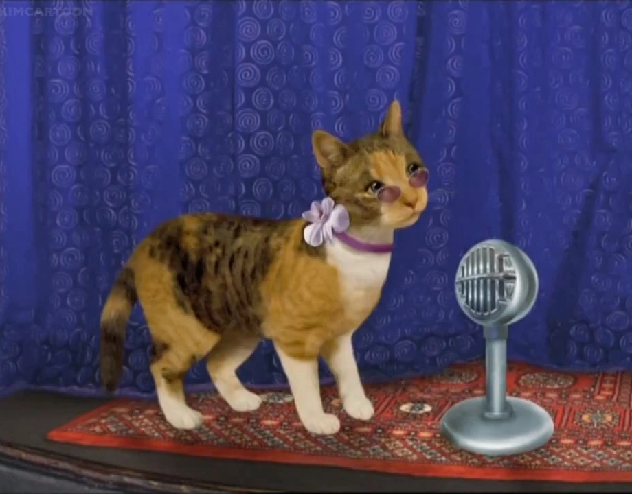 Cool Cat | Wonder Pets! Wiki | Fandom