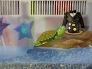 Save the Rat Pack! | Wonder Pets! Wiki | Fandom
