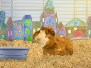 Save the Skunk Rocker! | Wonder Pets! Wiki | Fandom