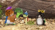 Save the Mountain Lion! | Wonder Pets! Wiki | Fandom