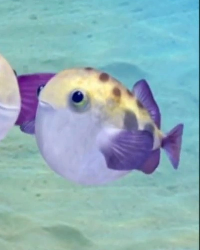Blowfish | Wonder Pets! Wiki | Fandom