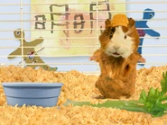 Save the Panda! | Wonder Pets! Wiki | Fandom
