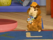 Save the Rat Pack! | Wonder Pets! Wiki | Fandom