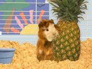 Save the Flamingo! | Wonder Pets! Wiki | Fandom