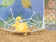 Save the Itsy Bitsy Spider! | Wonder Pets! Wiki | Fandom
