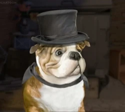 Old Dog | Wonder Pets! Wiki | Fandom