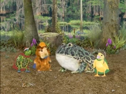Save the Bullfrog! | Wonder Pets! Wiki | Fandom