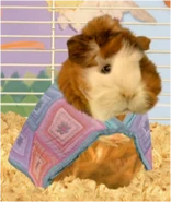Save the Mouse! | Wonder Pets! Wiki | Fandom