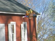 Save the Armadillo! | Wonder Pets! Wiki | Fandom