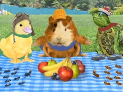 Wonder Pets Save The Ants Wonder Pets! (TV Series 2006–2016)