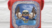 Help the Little Hawk! | Wonder Pets! Wiki | Fandom