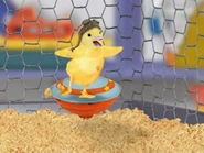 Save the Squirrel! | Wonder Pets! Wiki | Fandom