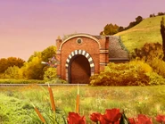 Save the Pangaroo! | Wonder Pets! Wiki | Fandom