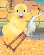 Save the Bullfrog! | Wonder Pets! Wiki | Fandom