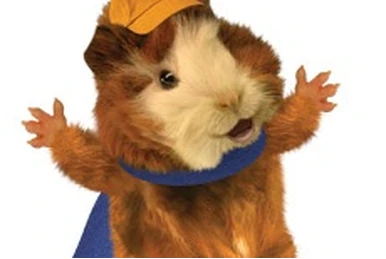 Wonder Pets Tuck And Buck