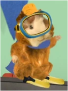 Save the Goldfish! | Wonder Pets! Wiki | Fandom