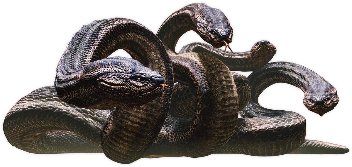 Snake | The World of Noth Wiki | Fandom