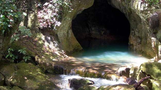 Hidden Cave | The world of panem/ hunger games Wiki | Fandom