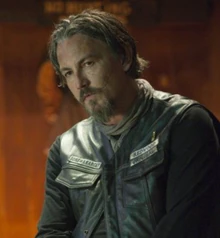 Werewolf (Species) | Theworldofshadowfell Wiki | Fandom