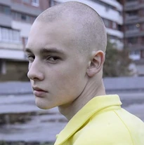 Shadowcrest Academy | Theworldofshadowfell Wiki | Fandom