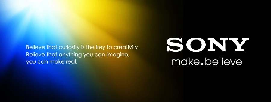 Batteries | The world of sony Wiki | Fandom