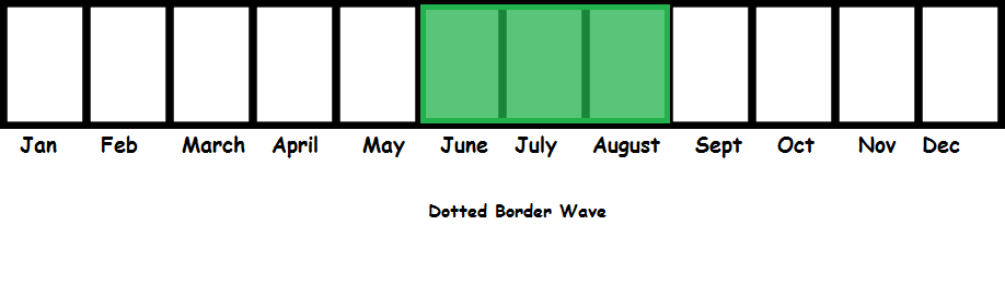 Dotted Border Wave | British Wildlife Wiki | Fandom