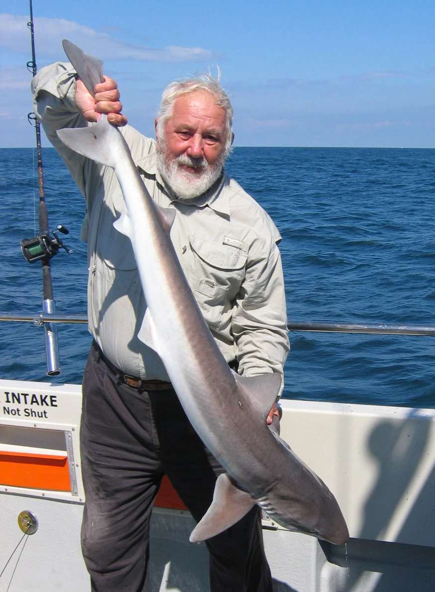 Tope | British Wildlife Wiki | Fandom