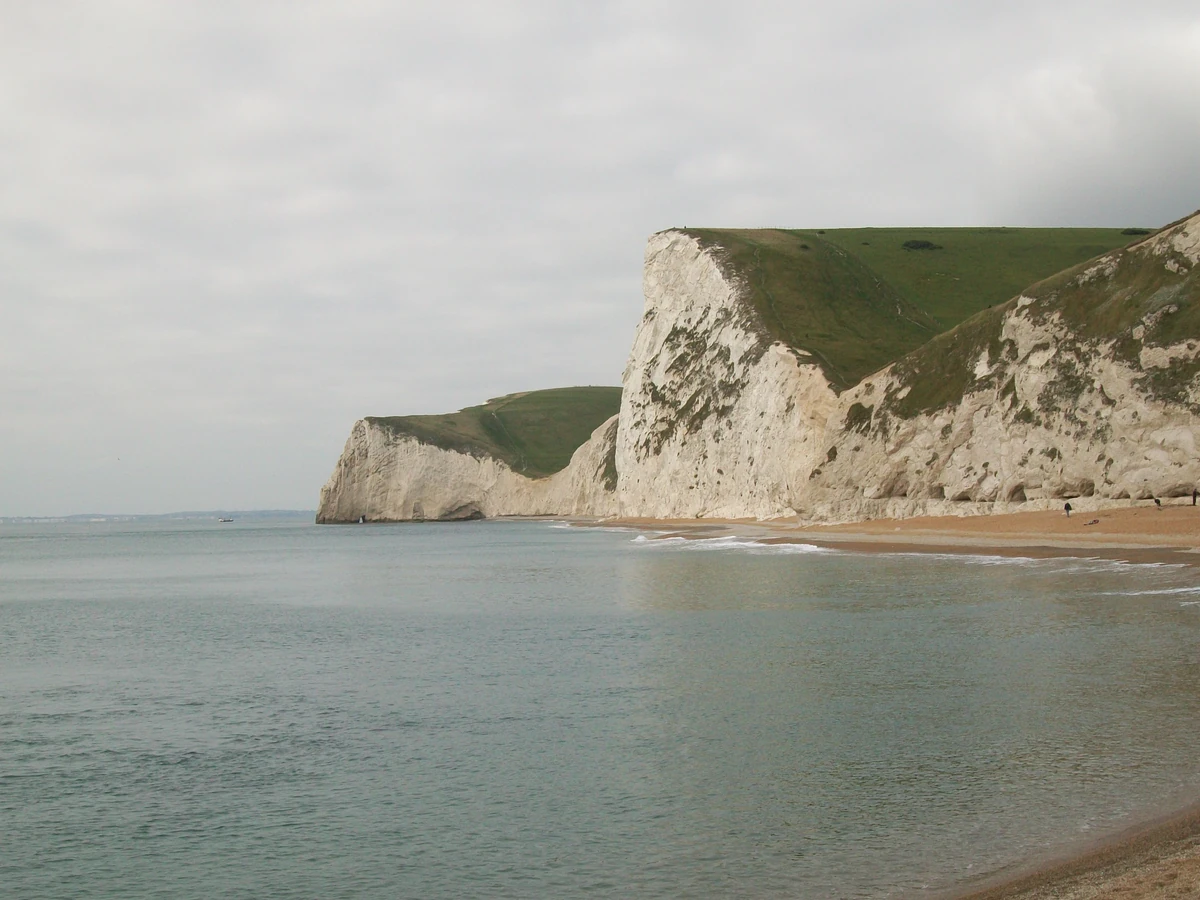 Chalk | British Wildlife Wiki | Fandom