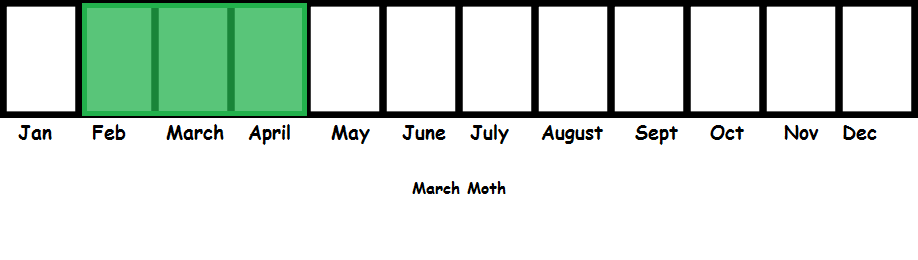 March Moth | British Wildlife Wiki | Fandom