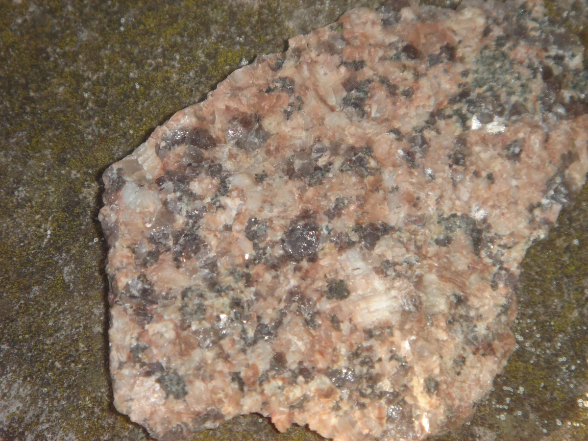 Granite | British Wildlife Wiki | Fandom