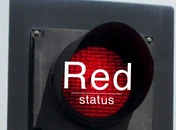 Fiery Clearwing | British Wildlife Wiki | Fandom