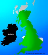 American Mink | British Wildlife Wiki | Fandom