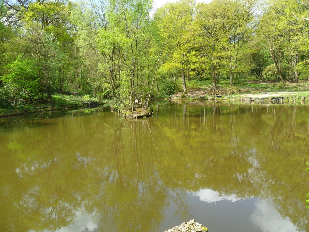 Lakes | British Wildlife Wiki | Fandom